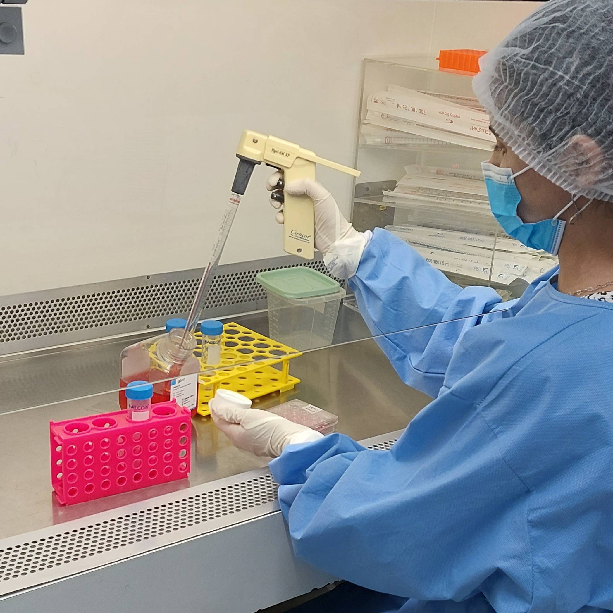 ICB-USP | Instituto de Ciências Biomédicas